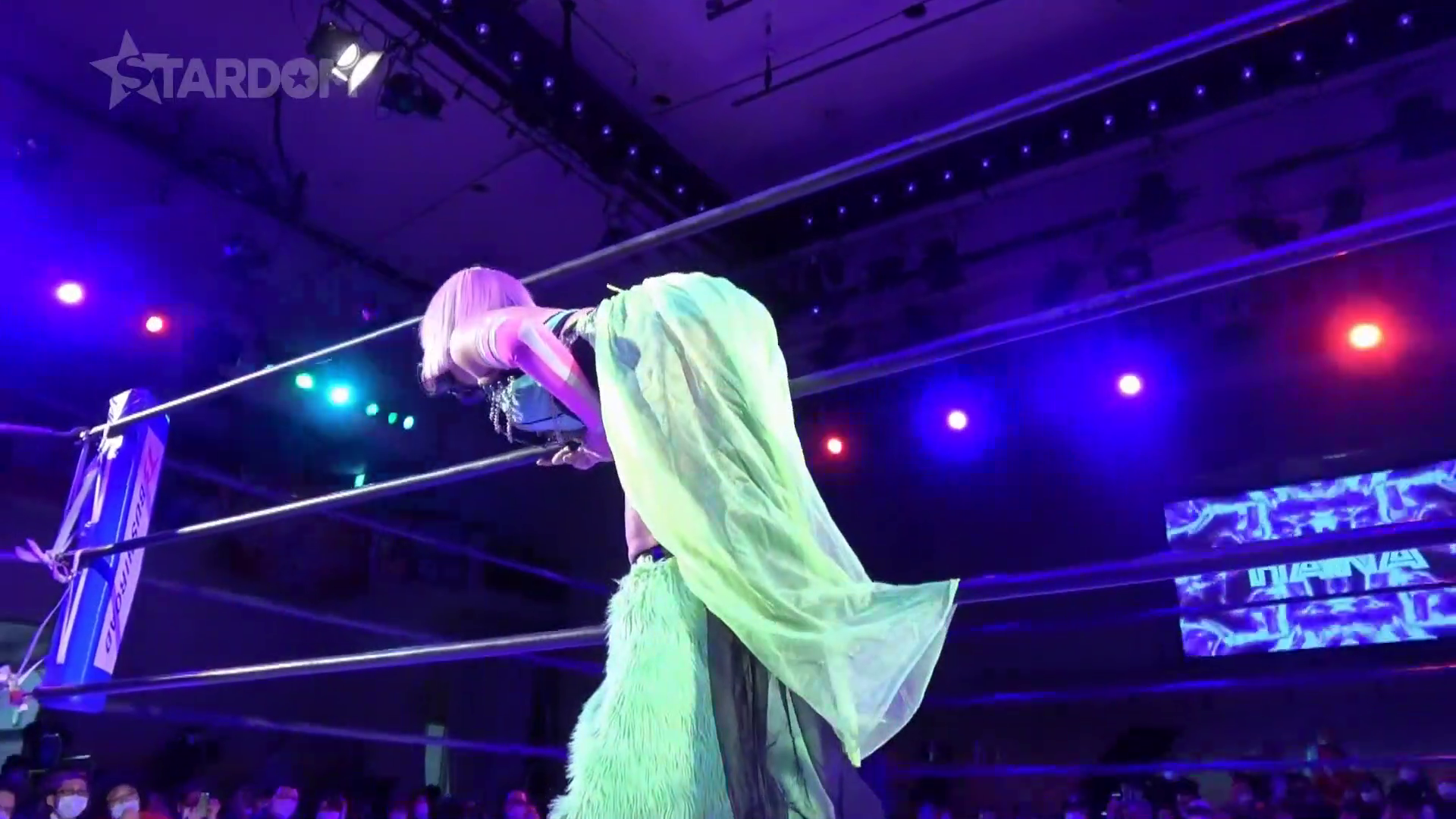 Team Kick Source | Dakota Kai & Tegan Nox Fansite | Hana Kimura vs ...